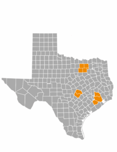 2026 Ambetter Texas Guide - Texas Health Agents
