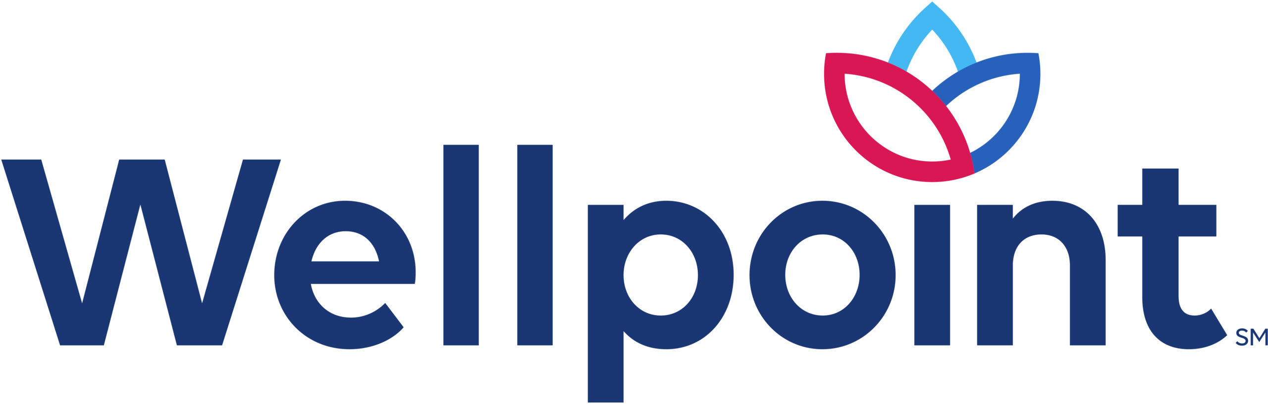 Wellpoint - Texas Health Agents